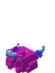 Pets | Galaxite MCBE Wiki | Fandom