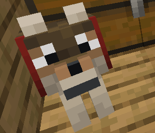 Bob | GalaxySMP Wiki | Fandom