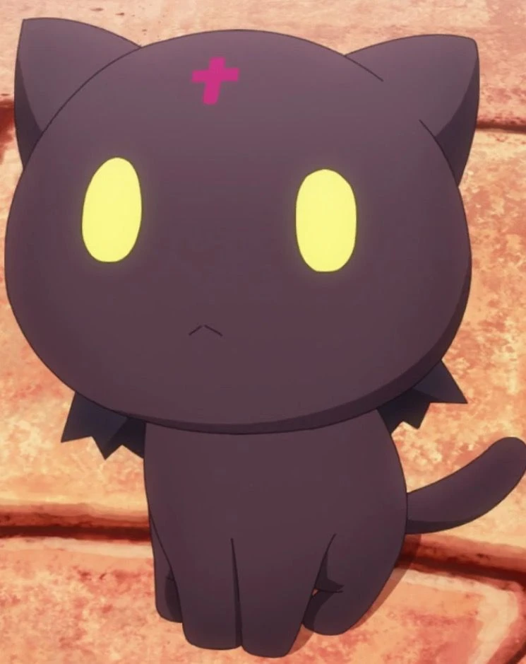 Chomusuke | Galaxy Star Super Miracle Night Wiki | Fandom