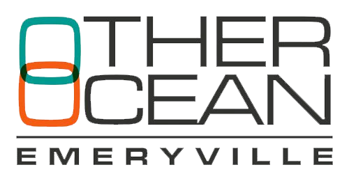 Other Ocean Interactive | Gallowmere Historia | Fandom