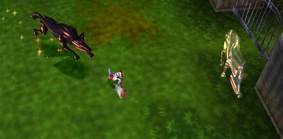 Guardians of the Graveyard | Gallowmere Historia | Fandom