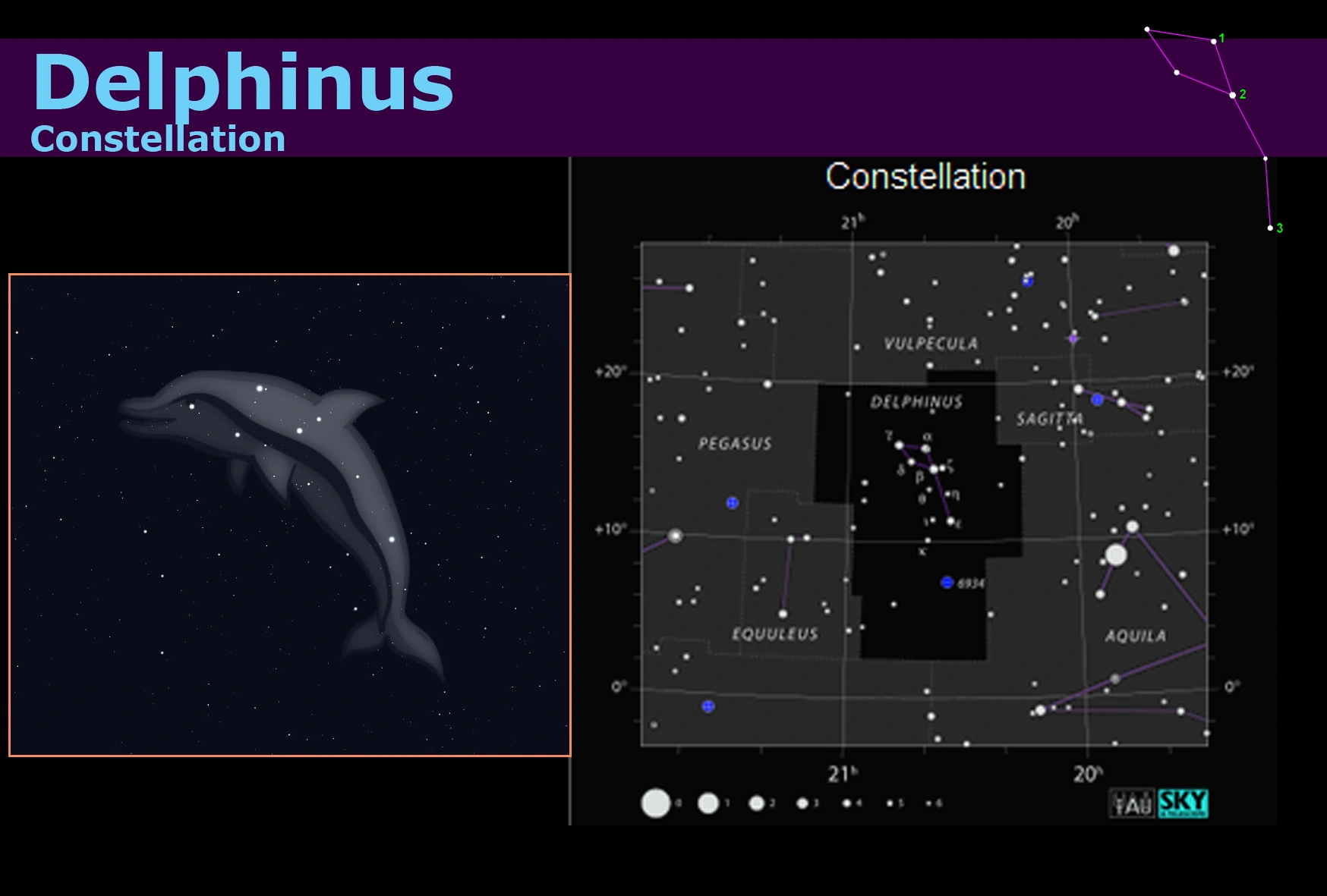 Delphinus Constellation