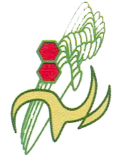 Slayn & Korpil | Galu Star Wars RPG Wiki | Fandom