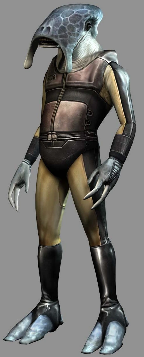 Selkath | Galu Star Wars RPG Wiki | Fandom