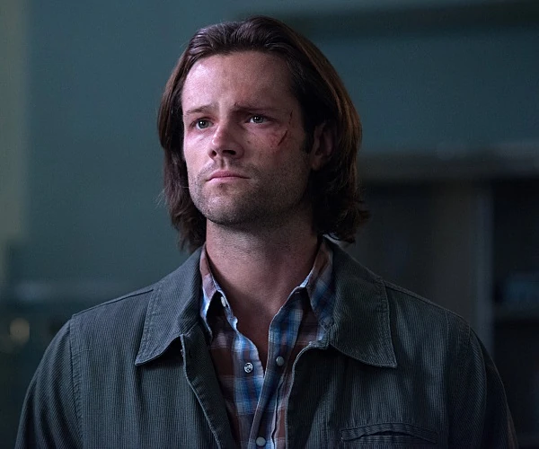 Embedded/Characters/Zack Gordon | Game Creators Universe Wiki | Fandom