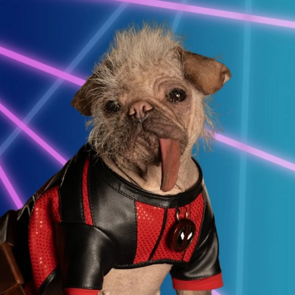 Dogpool | Game Master Wiki | Fandom