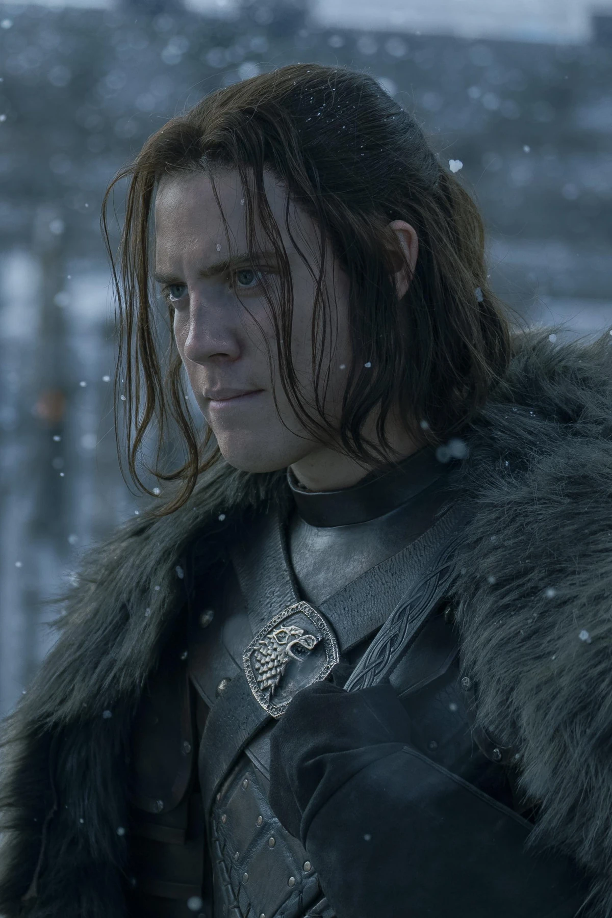 Cregan Stark | Wiki Game of Thrones | Fandom