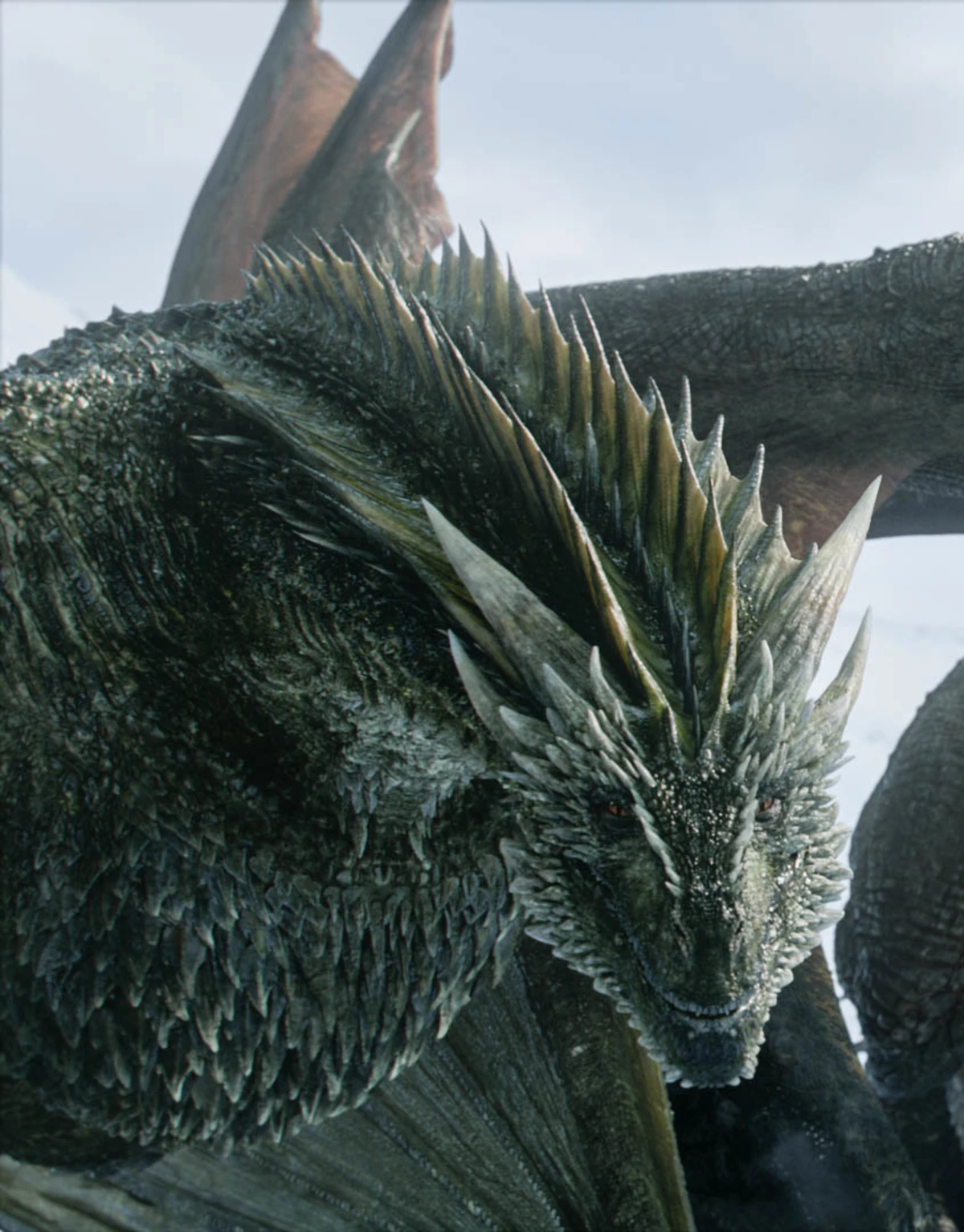 Rhaegal | Wiki Game of Thrones | Fandom