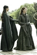 Talisa Stark | Wiki Game of Thrones | Fandom