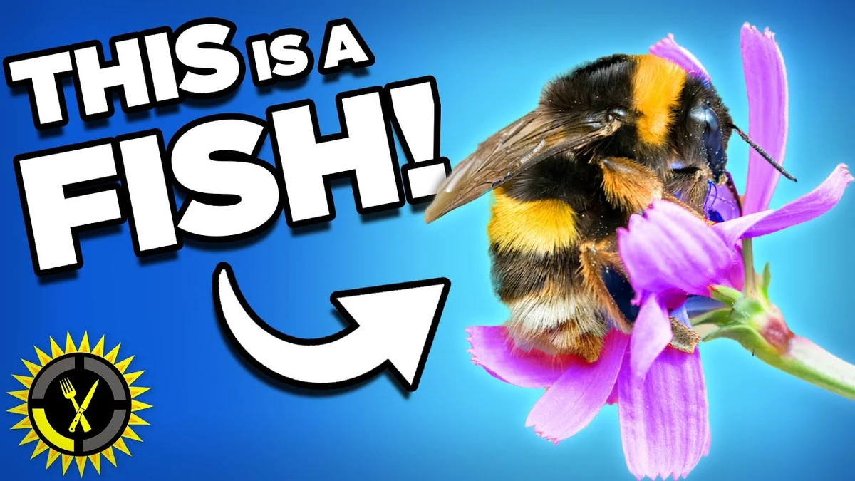 Bees are Fish | The Theorists Wiki | Fandom