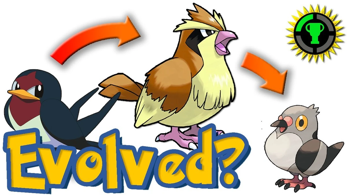 How Pidgey "Proves" Darwinian Evolution | The Theorists Wiki | Fandom