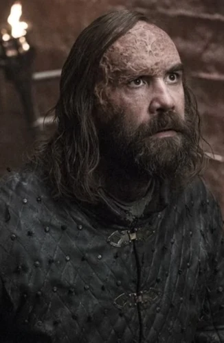 Sandor Clegane | Game of Thrones Rewritten Wiki | Fandom