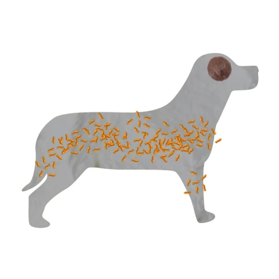 Dogger | GameArtOnline Animate Wiki | Fandom