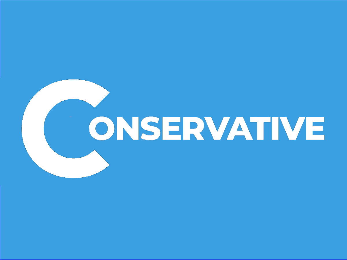 Conservative Party | Game City Wiki | Fandom