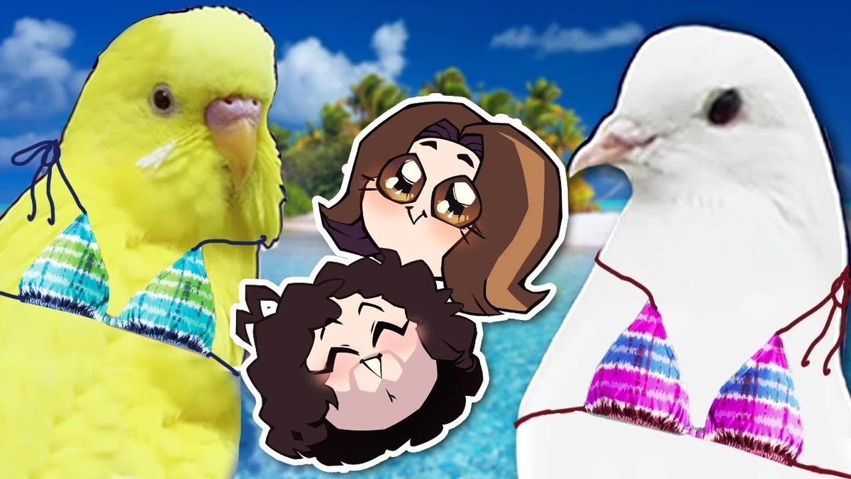 Bird Furry Summer starts today | Game Grumps Wiki | Fandom