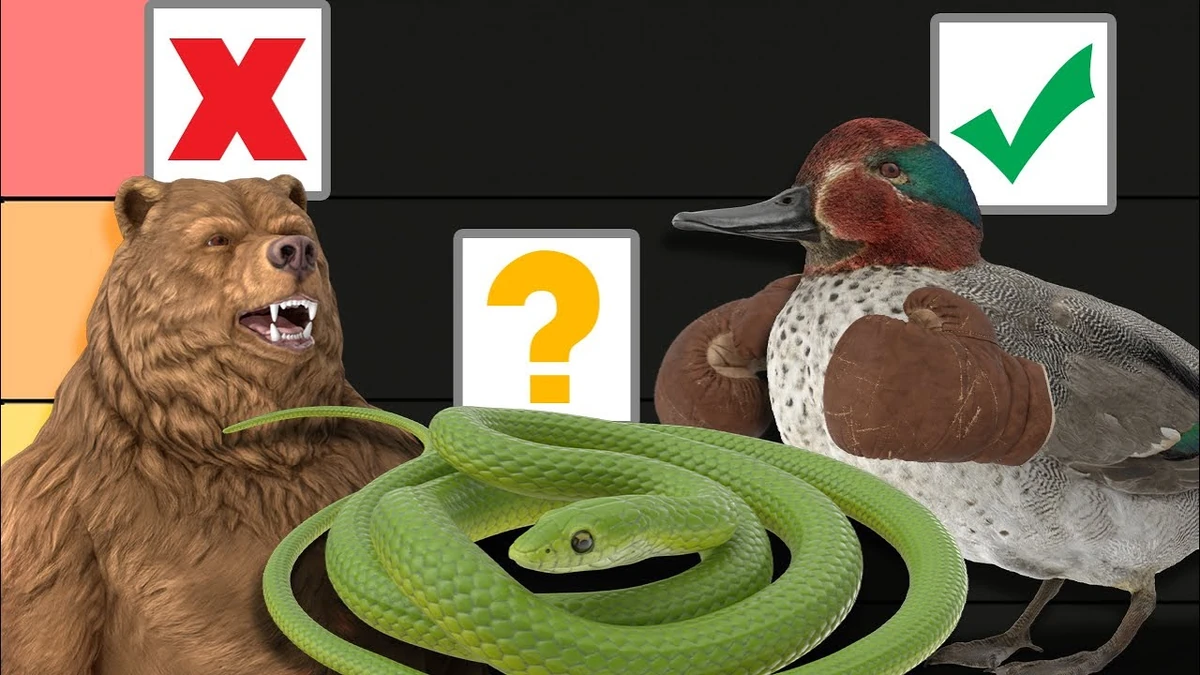 Ranking which animals we could beat in a fight | Game Grumps Wiki | Fandom