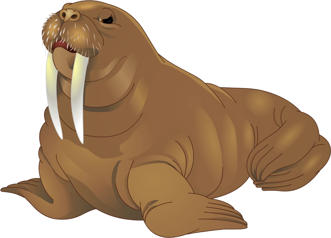 Walrus | Game Ideas Wiki | Fandom