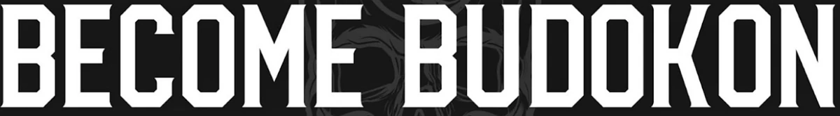 Budokon | Game Ideas Wiki | Fandom
