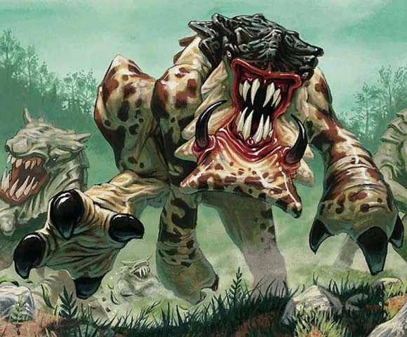 Matt Cavotta | GameLore Wiki | Fandom