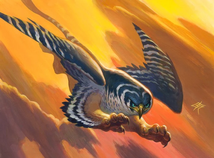 Peregrine Griffin | GameLore Wiki | Fandom