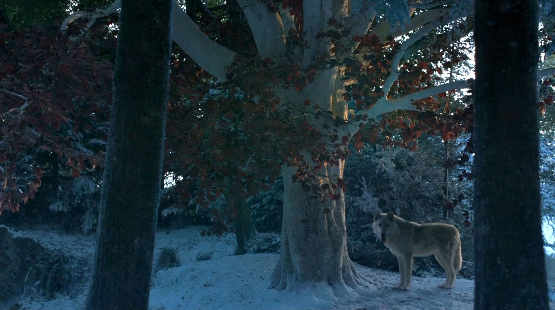 Bran Stark And Summer