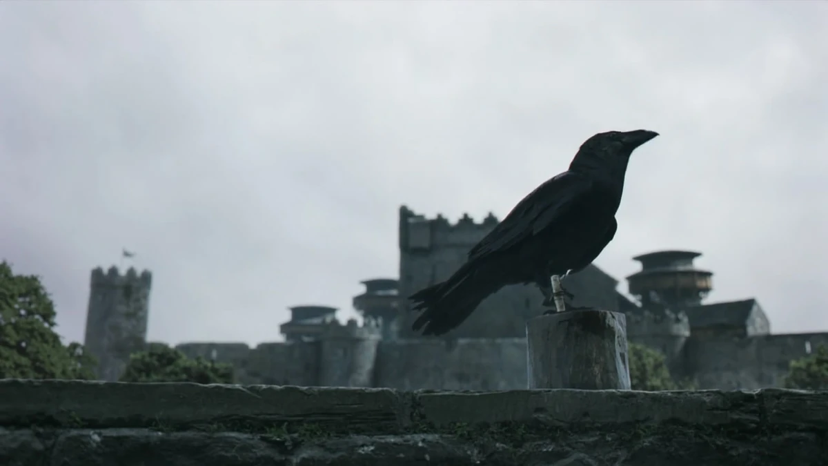 Raven | Wiki of Westeros | Fandom