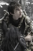 Bran Stark | Game of Thrones Wiki | Fandom