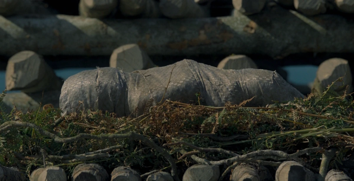 Baelon Targaryen | Game of Thrones Wiki | Fandom