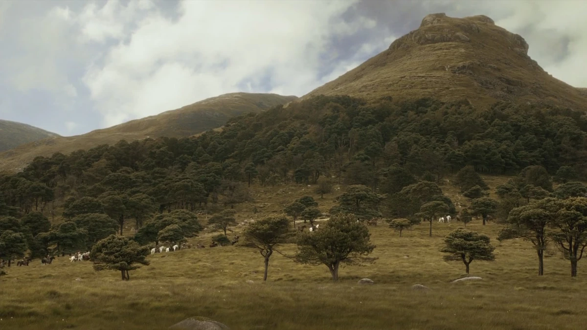 Mother of Mountains | Wiki of Westeros | Fandom