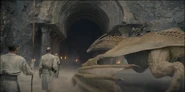 Dragonpit | Wiki of Westeros | Fandom