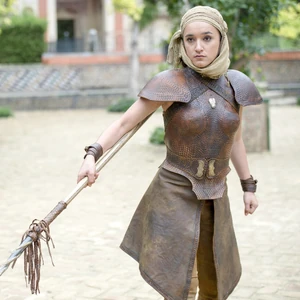 Discuss Everything About Wiki of Westeros | Fandom