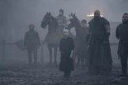 Steely Pate | Wiki of Westeros | Fandom