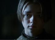 Arya Stark | Game of Thrones Wiki | Fandom