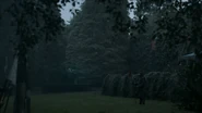 Riverrun | Wiki of Westeros | Fandom
