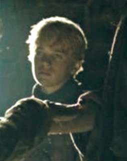 Timothy Gibbons | Wiki of Westeros | Fandom