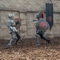 Criston Cole | Wiki of Westeros | Fandom