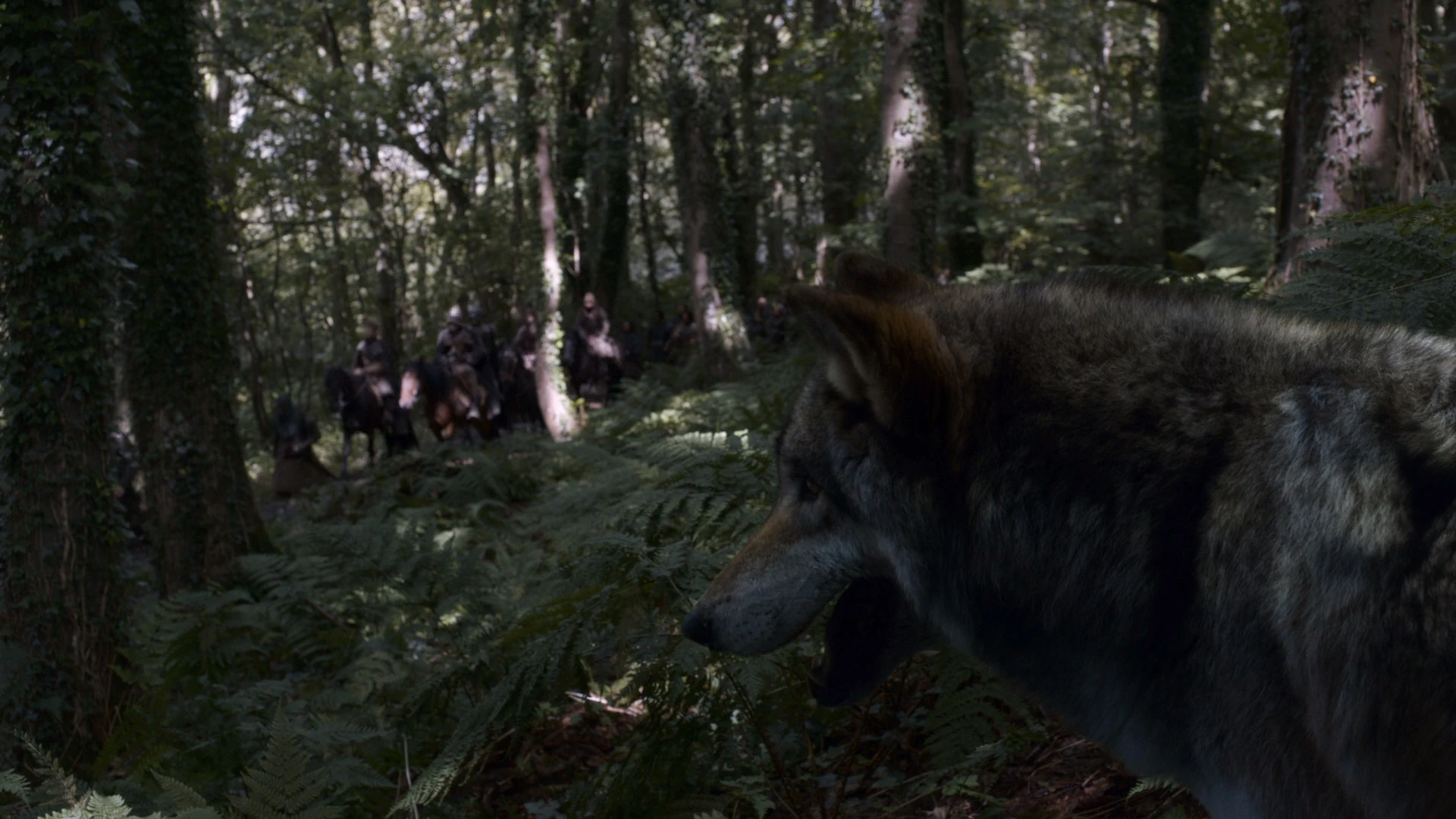 Robb Stark Grey Wind