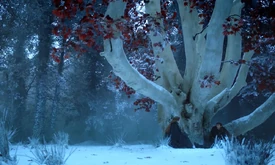 Godswood | Game of Thrones Wiki | Fandom