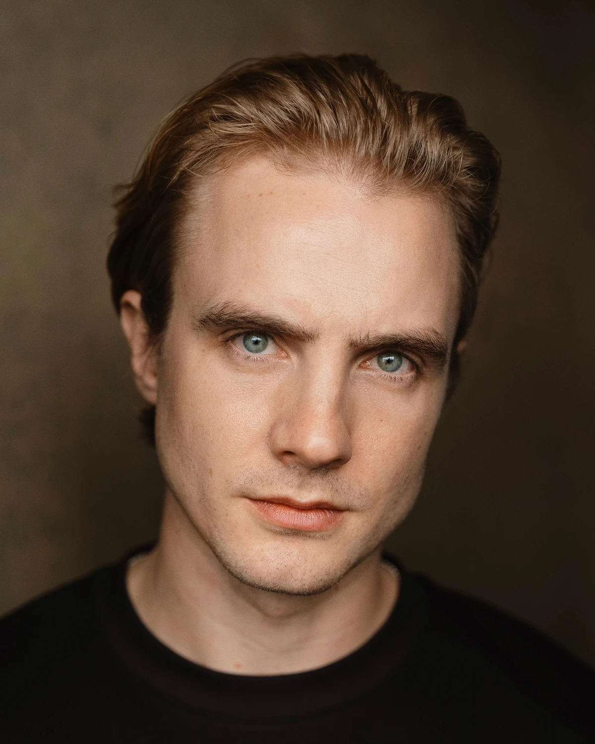 Henry Ashton | Wiki of Westeros | Fandom