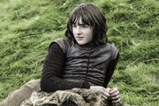 Bran Stark | Game of Thrones Wiki | Fandom