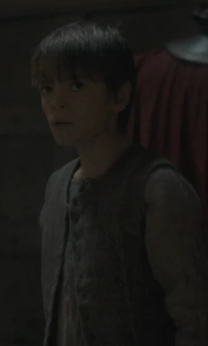 Лисенийский мальчик | Игра Престолов Вики | Fandom