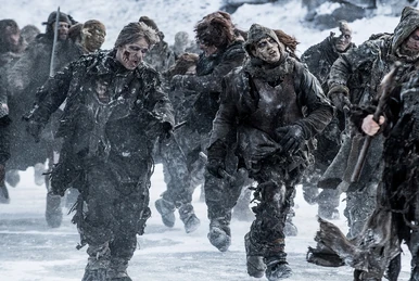 Qhono Game Of Thrones Wiki Fandom Powered By Wikia Chella | Game Of