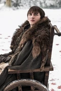 Bran Stark | Game of Thrones Wiki | Fandom