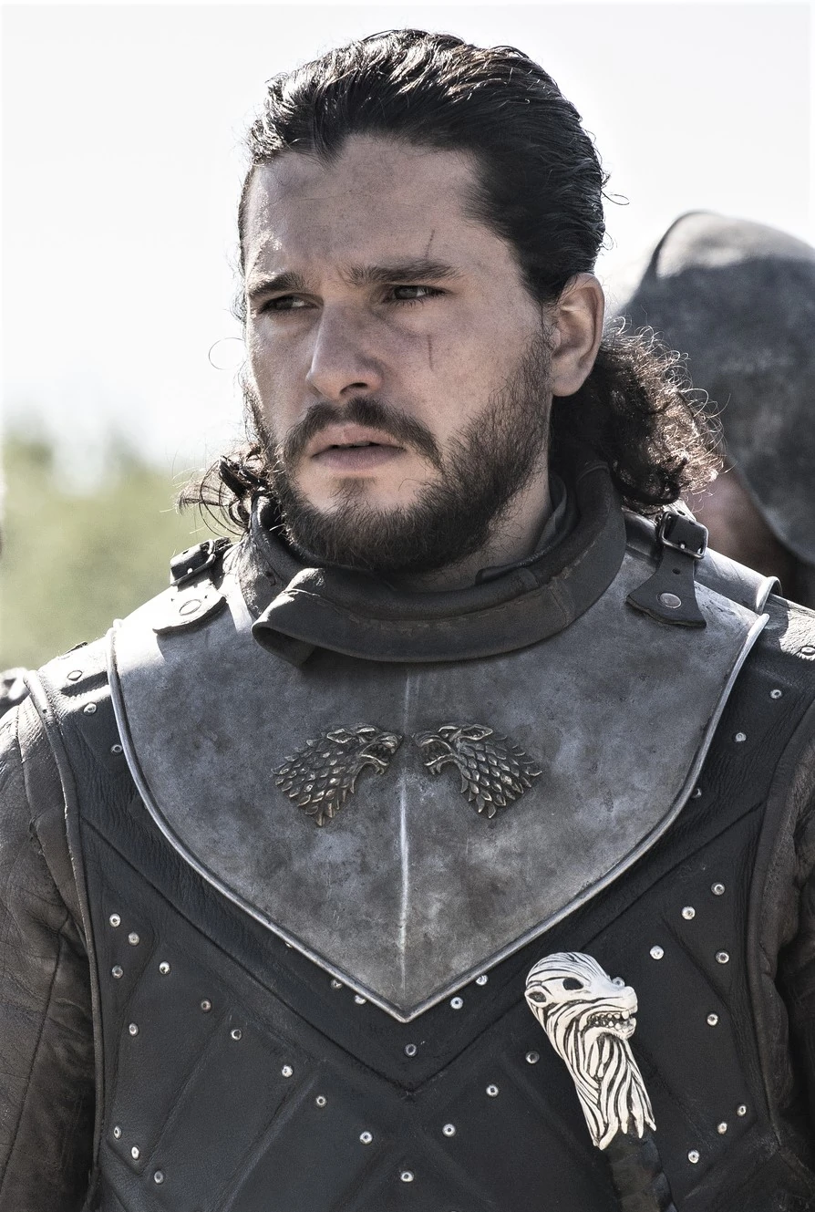 Aegon V. Targaryen | Game of Thrones fanon Wiki | Fandom