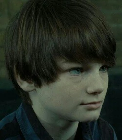 Gerrad Storm | Game of Thrones fanon Wiki | Fandom