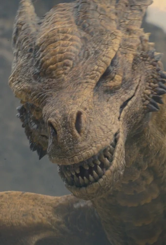 Syrax (Tales of Westeros: War for the Crown) | Game of Thrones fanon ...