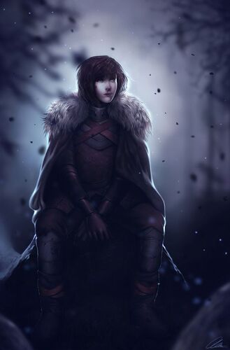 Artos Stark | Game of Thrones fanon Wiki | Fandom