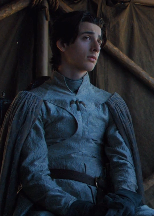 Robin Arryn (Targaryen Dynasty) | Wikia Game of Thrones Fanon | Fandom