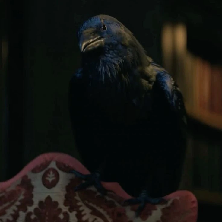 Balios (Hunterblue) | Game of Thrones fanon Wiki | Fandom