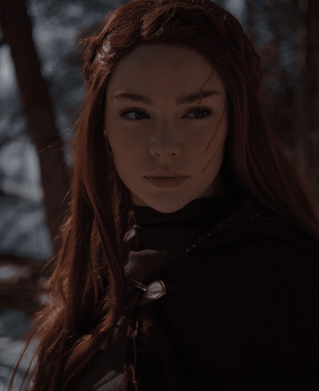 Anaris Stark (Breath of Fire) | Game of Thrones fanon Wiki | Fandom